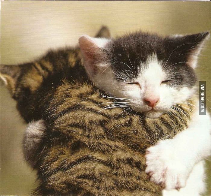 Scissoring 9gag