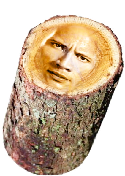 Dwayne "The Log" Johnson - 9GAG
