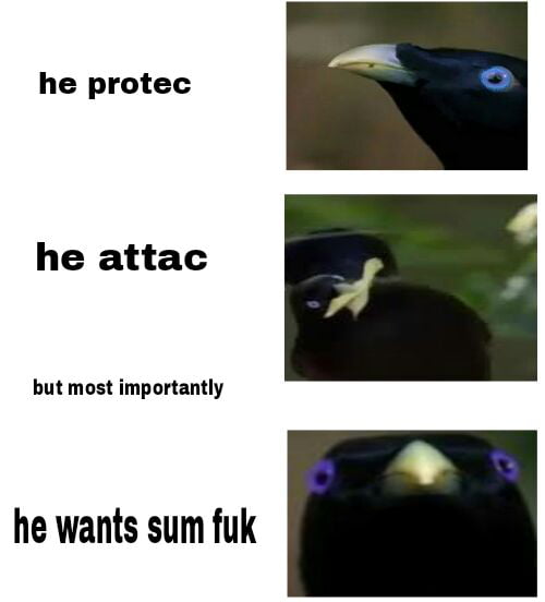 You want sum fuk? - 9GAG