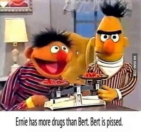 Oh Bert . - 9GAG
