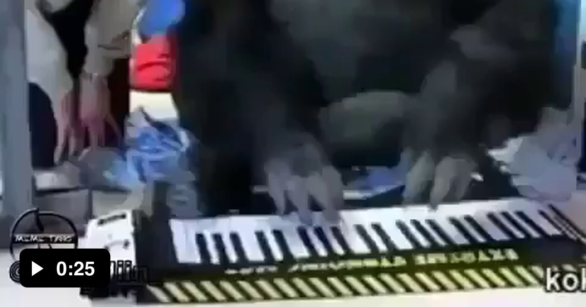 Netflix an chill with harambe - 9GAG