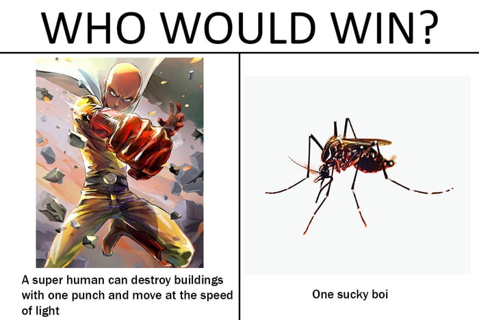 That thicc Mosquito Girl tho... - 9GAG