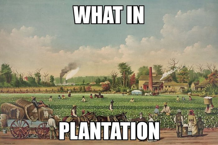 Cotton Farm - 9GAG