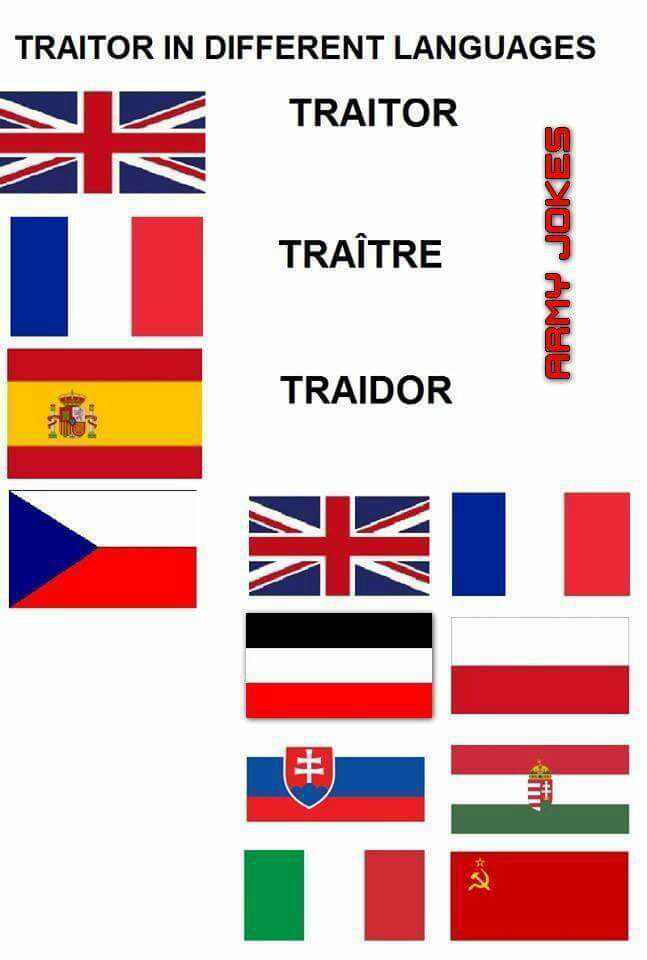 TRAITOR!!! - 9GAG