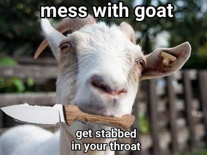 Ninja goat will slice up your throat! - 9GAG