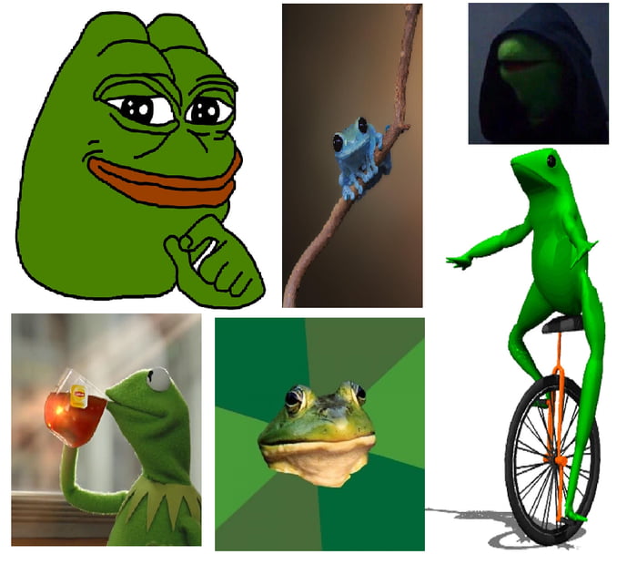 Why are frogs so dank creatures? - 9GAG