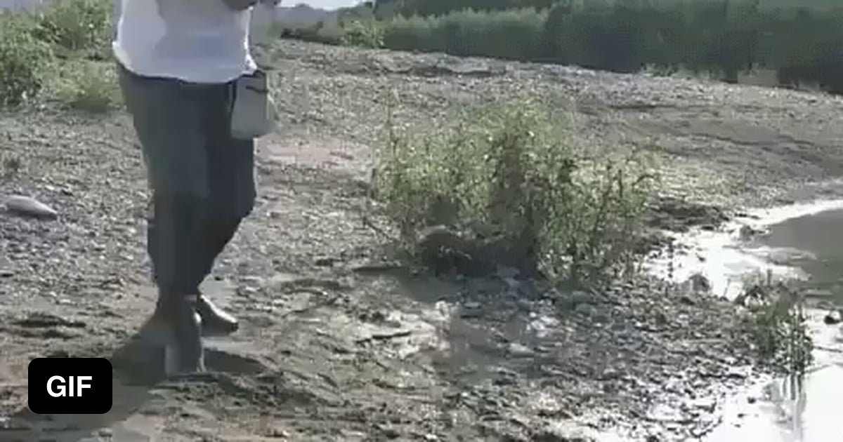 Rock skipping master - 9GAG