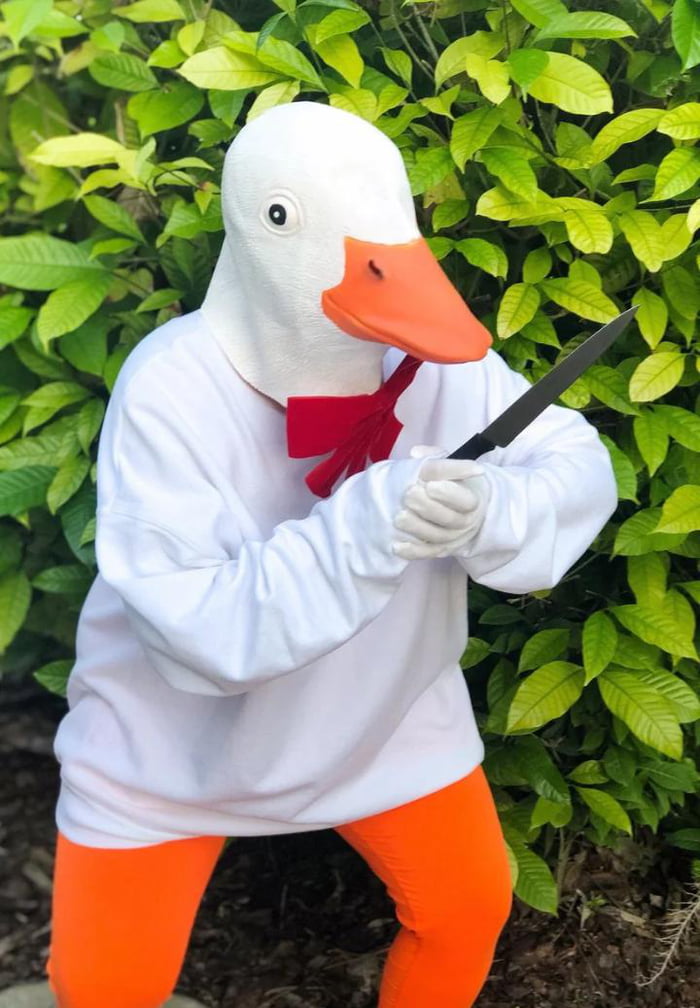 The Gooseman, Speaker of the Geese - 9GAG