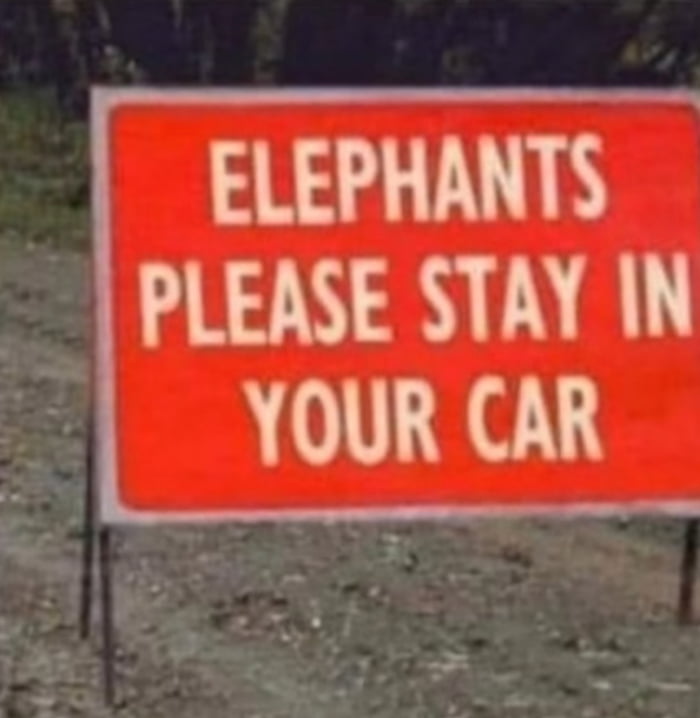 So they can drive now!? - 9GAG