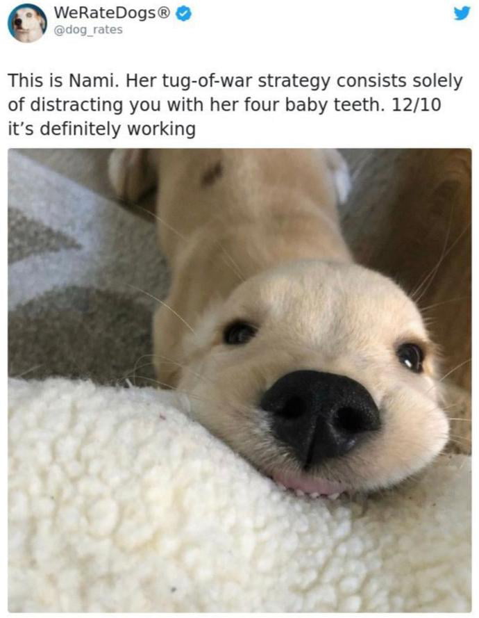 Adorable baby teeth - 9GAG