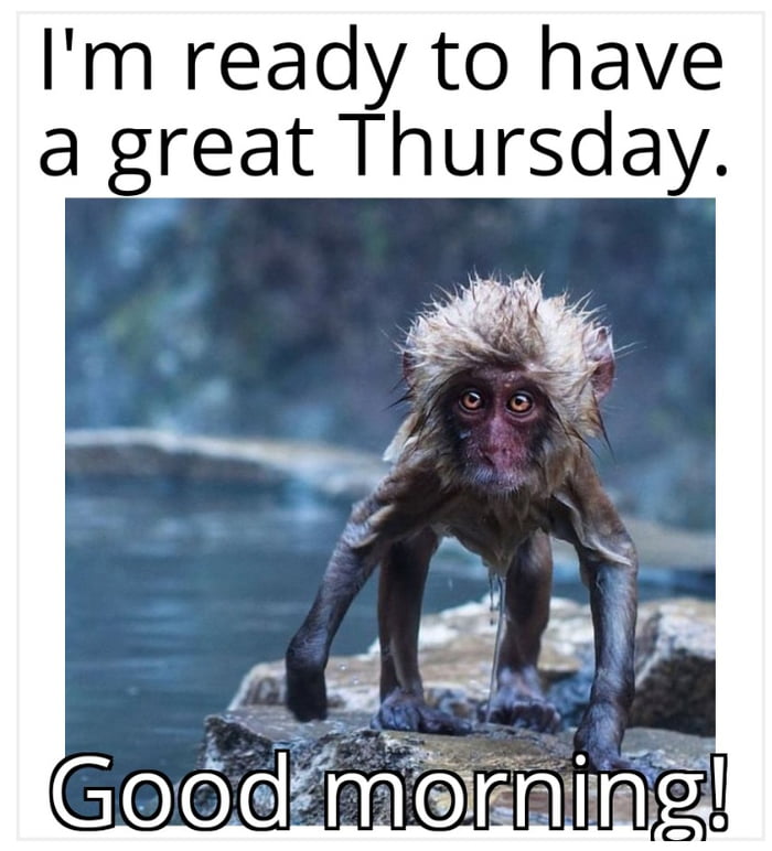 Thursday humor - 9GAG