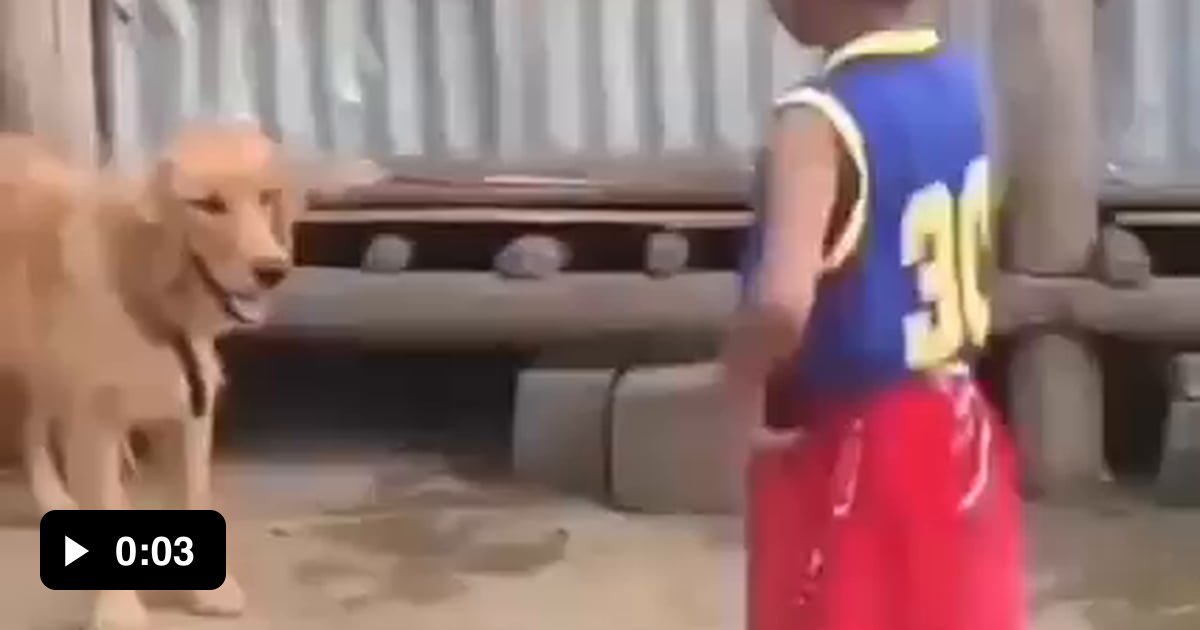 Counter Attack - 9GAG