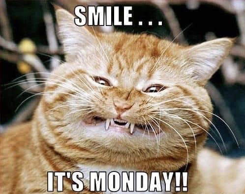 Maybe Monday doesn’t like you either. - 9GAG