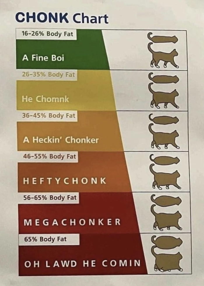 The Chonk Chart - 9GAG