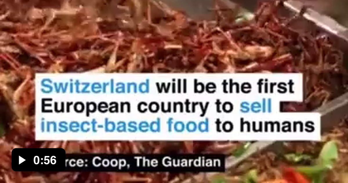 Switzerland will be the first European country to sell insect-based ...