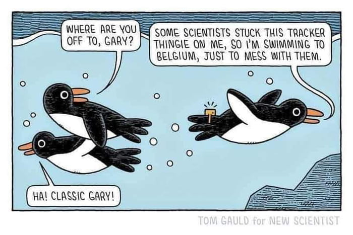 What if all the data scientists ever collected... - 9GAG