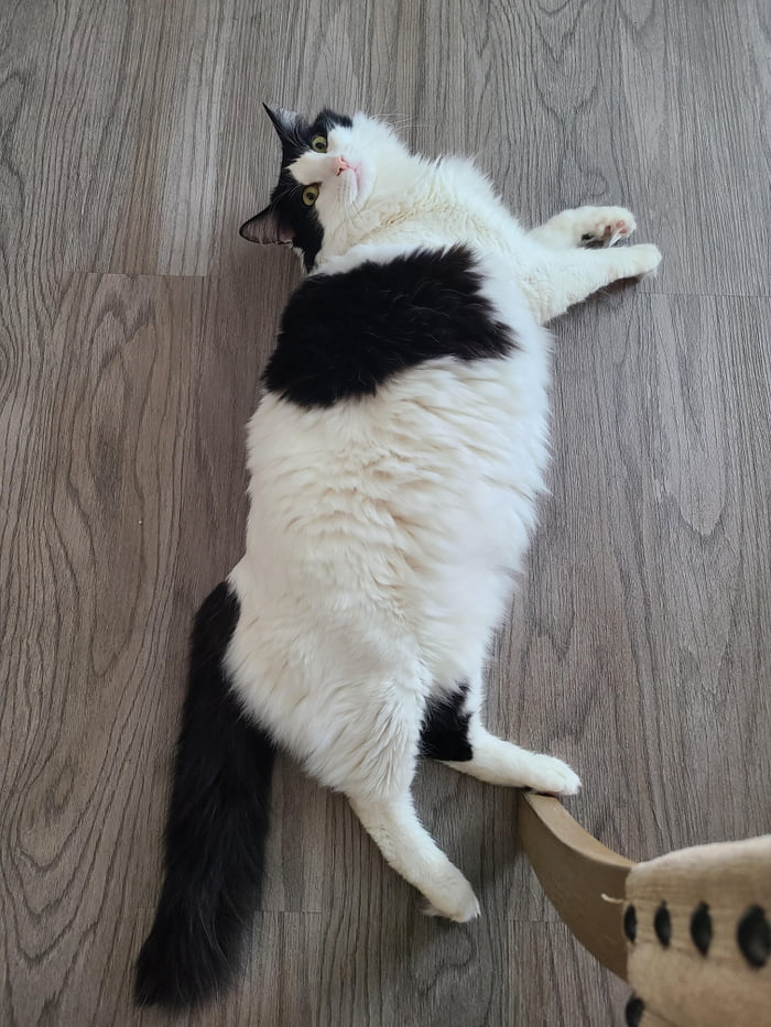 Reversed, Double-Stuffed Oreo - 9GAG