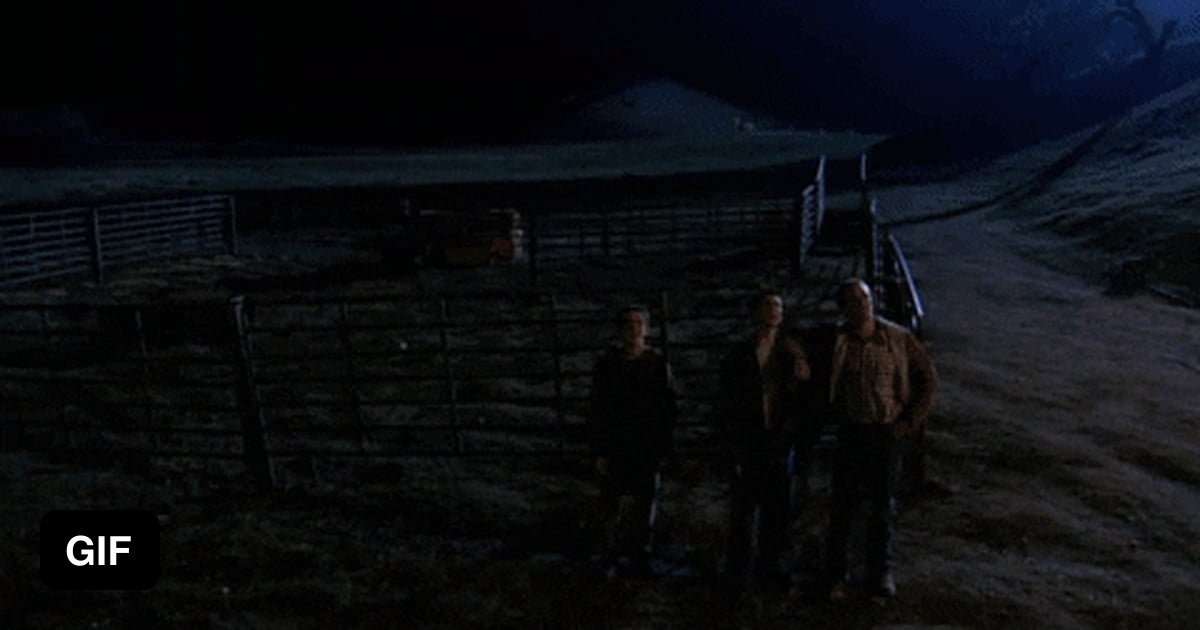 Happy new Komodo 3000 ^^ - 9GAG