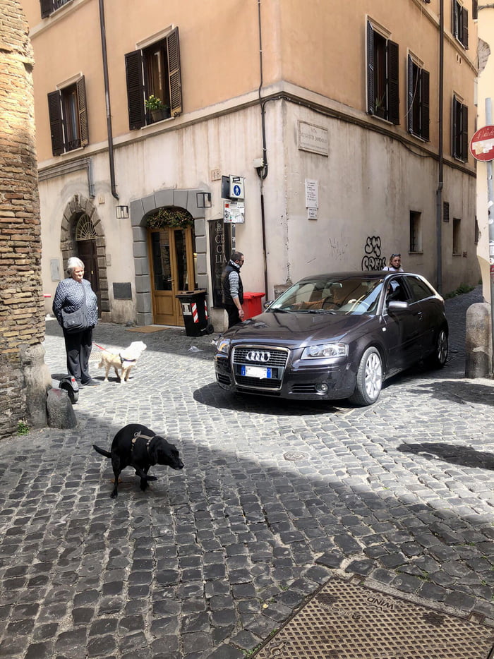 Traffic jam in Rome, Italy because a dog takes a crap. - 9GAG