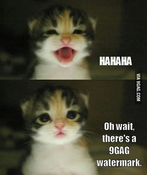 Not hehe - 9GAG