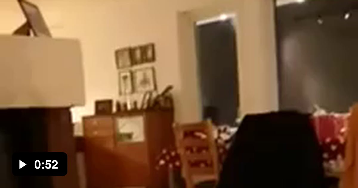 Boy Reunites With Lost Cat After Seven Months - 9GAG
