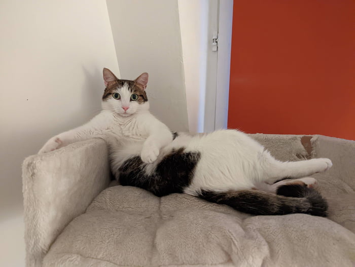 Moka has perfected the "draw me like one of your french girls" pose - 9GAG