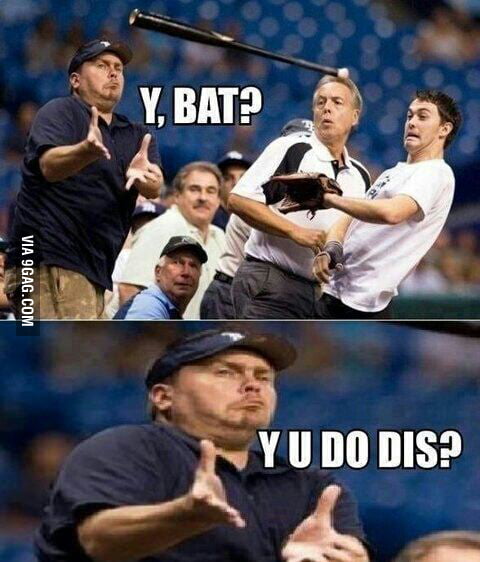 Why, bat? - 9GAG