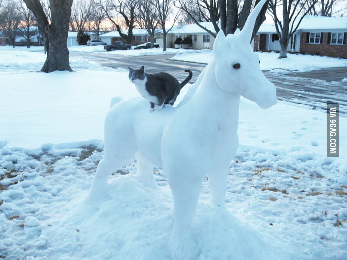 “Run Shadowfax, show us the meaning of haste!” - 9GAG