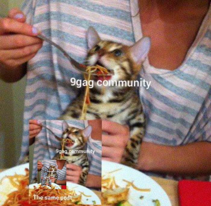 The stealing continues - 9GAG