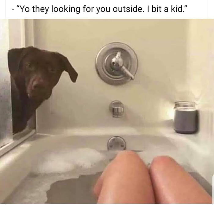 My dog f**ked up - 9GAG