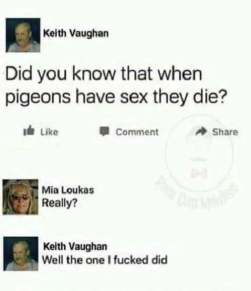 Fun Fact 9GAG fun-fact-9gag