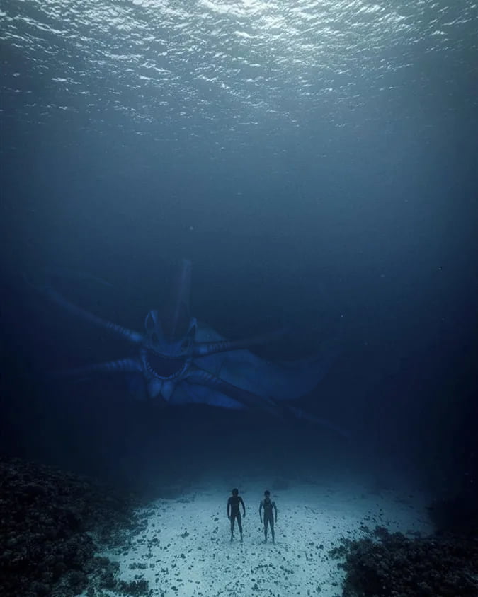 Diving seems fun - 9GAG