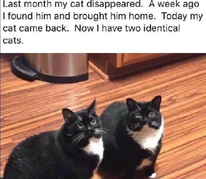 Now there are two of them - 9GAG