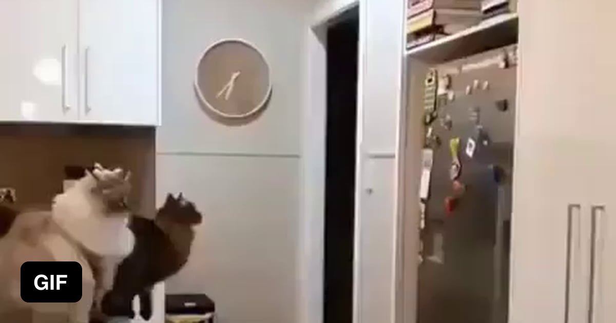 Does this count? - 9GAG