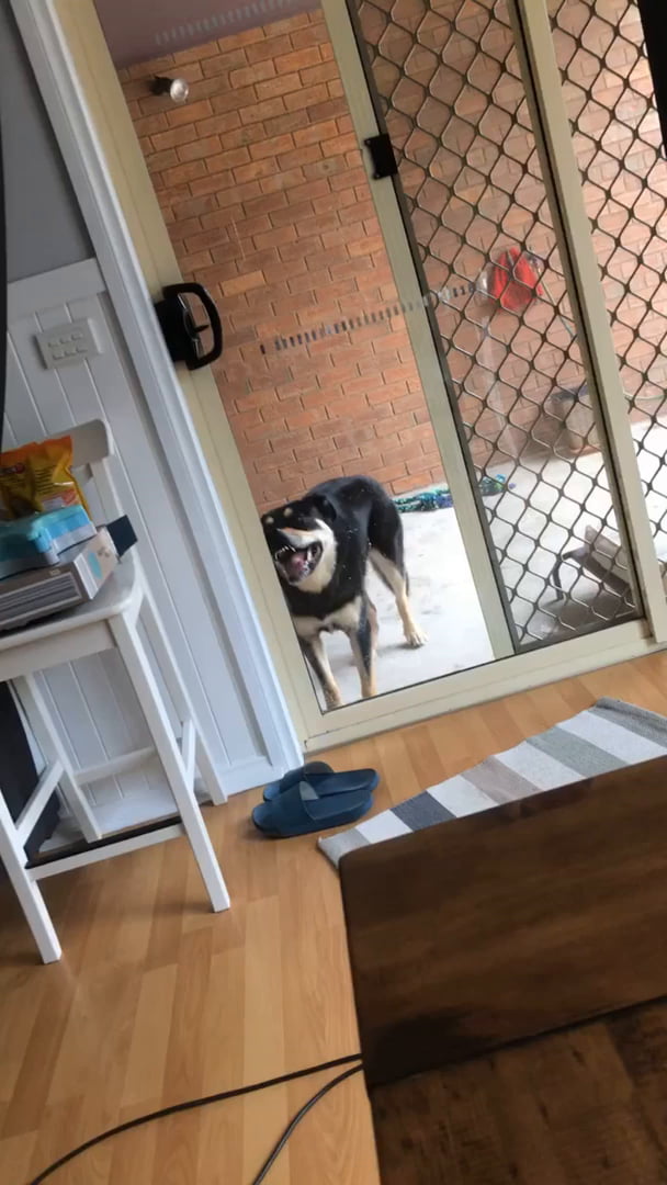 Window cleaner exceeded expectations. Very thorough. 10/10 - 9GAG