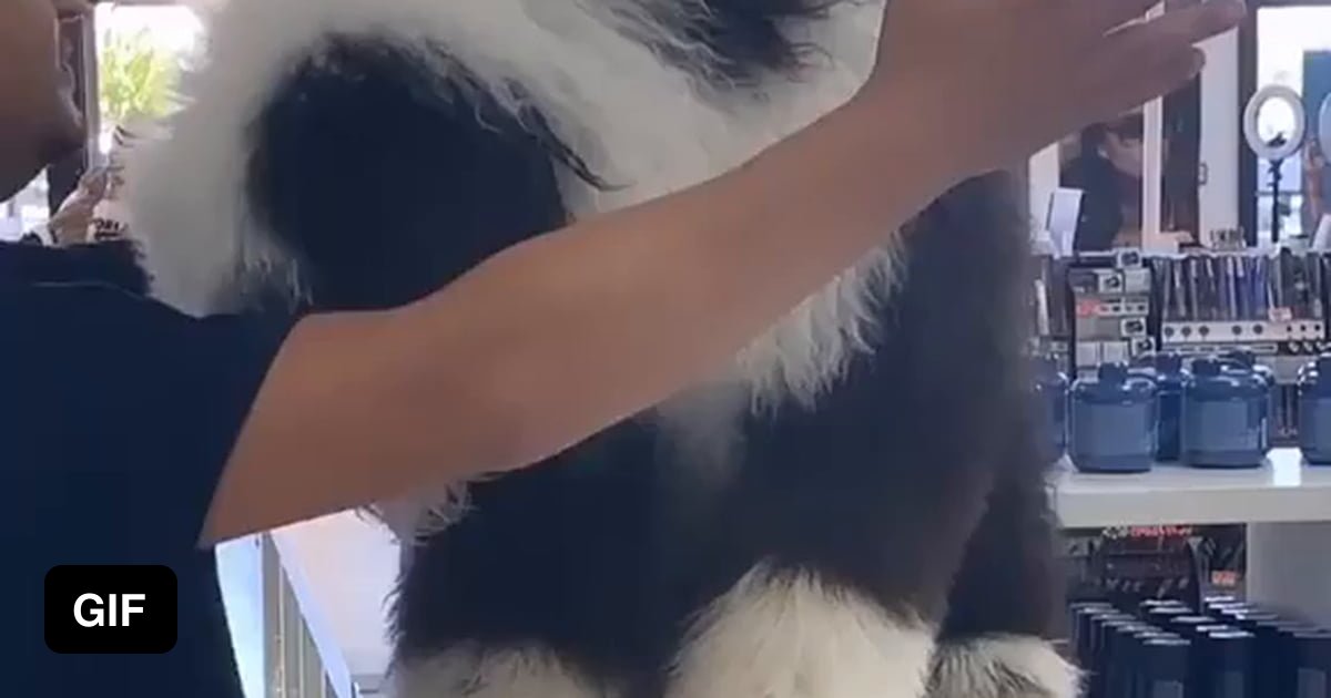 Carry me, please. - 9GAG