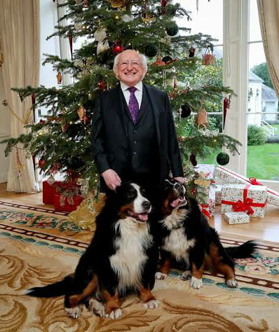 The president of Ireland ALWAYS has his DOG around him! Part 3 (with ...