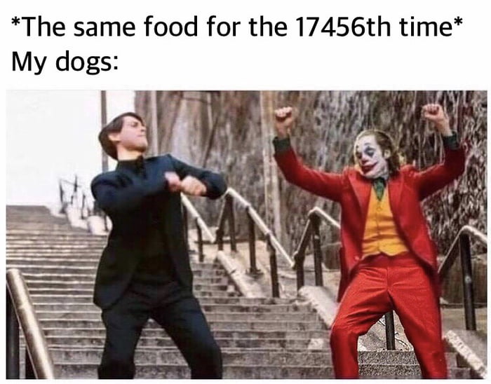 So easy to make them happy - 9GAG