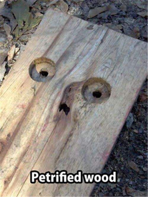 Poor plank - 9GAG