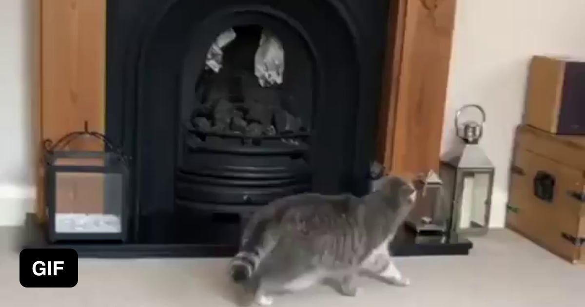 You can dooo eeeett - 9GAG