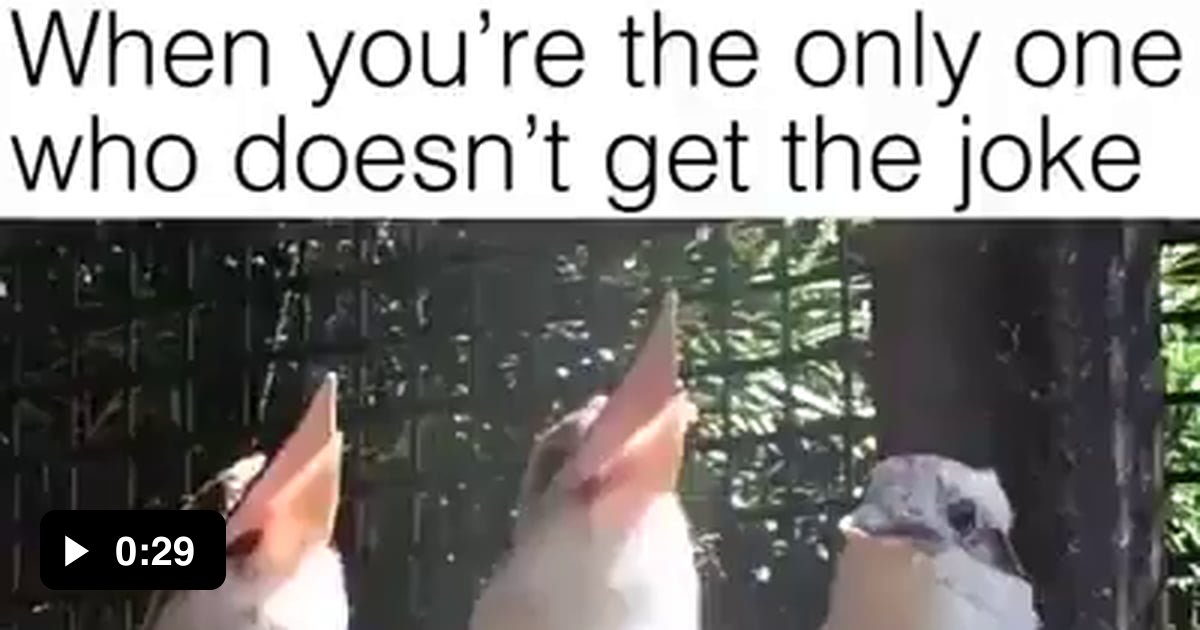 Sometimes, Its not easy being dense - 9GAG