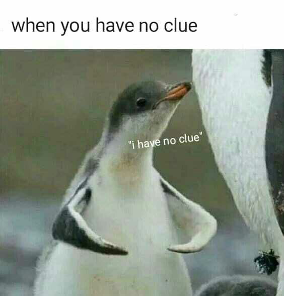 When you have no clue - 9GAG