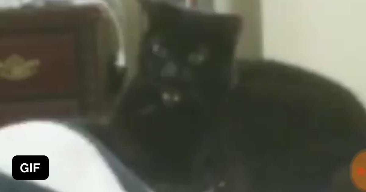 Charging my attack - 9GAG