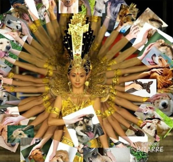 Next level :v - 9GAG