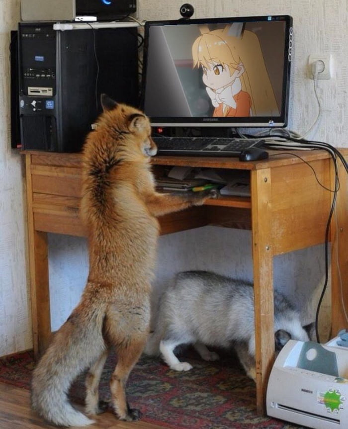 They have evolved - 9GAG