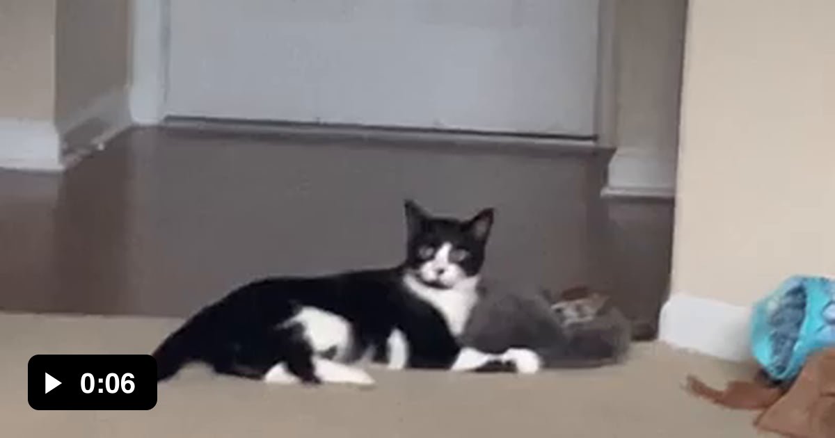 The somersault flip flop attack - 9GAG