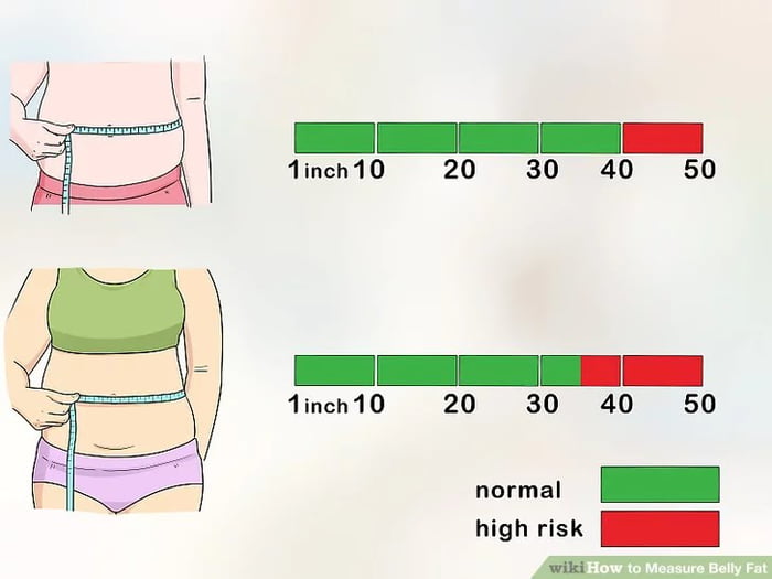 Belly fat measurements indicating that 1 to 10 inch waist circumference ...