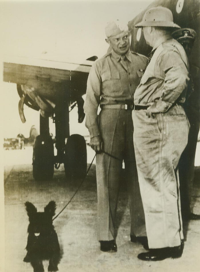 US Secretary of the Navy Frank Knox confers with General Dwight ...