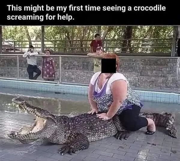 Poor croc - 9GAG