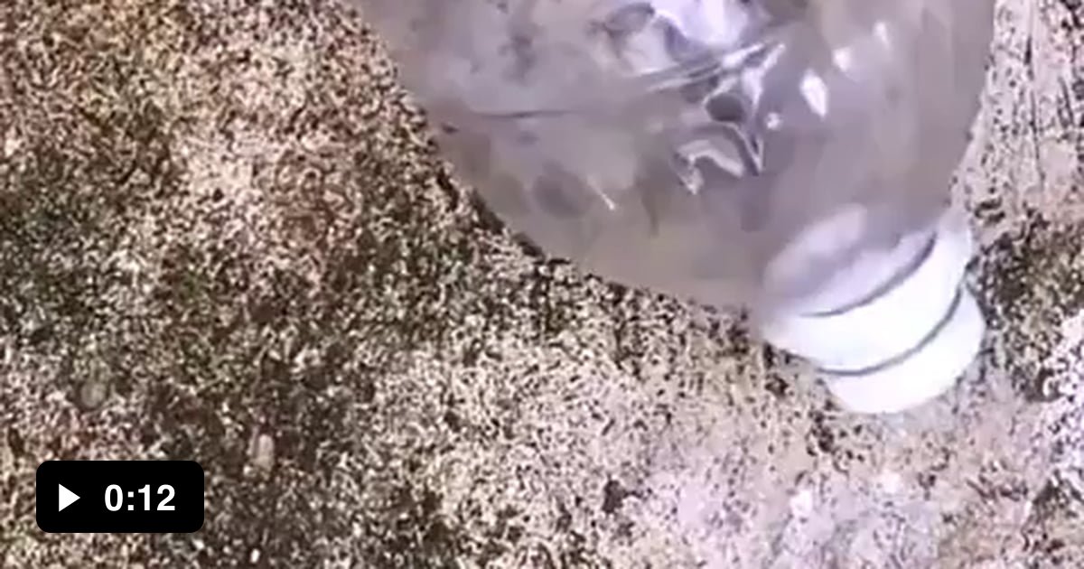 Try to do this with the empty bottle in your home - 9GAG